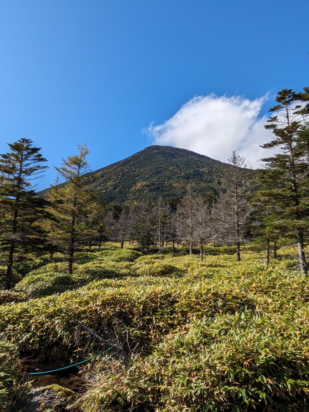 蓼科山 / Sam&Azuさんの蓼科山・横岳・縞枯山の活動データ | YAMAP / ヤマップ