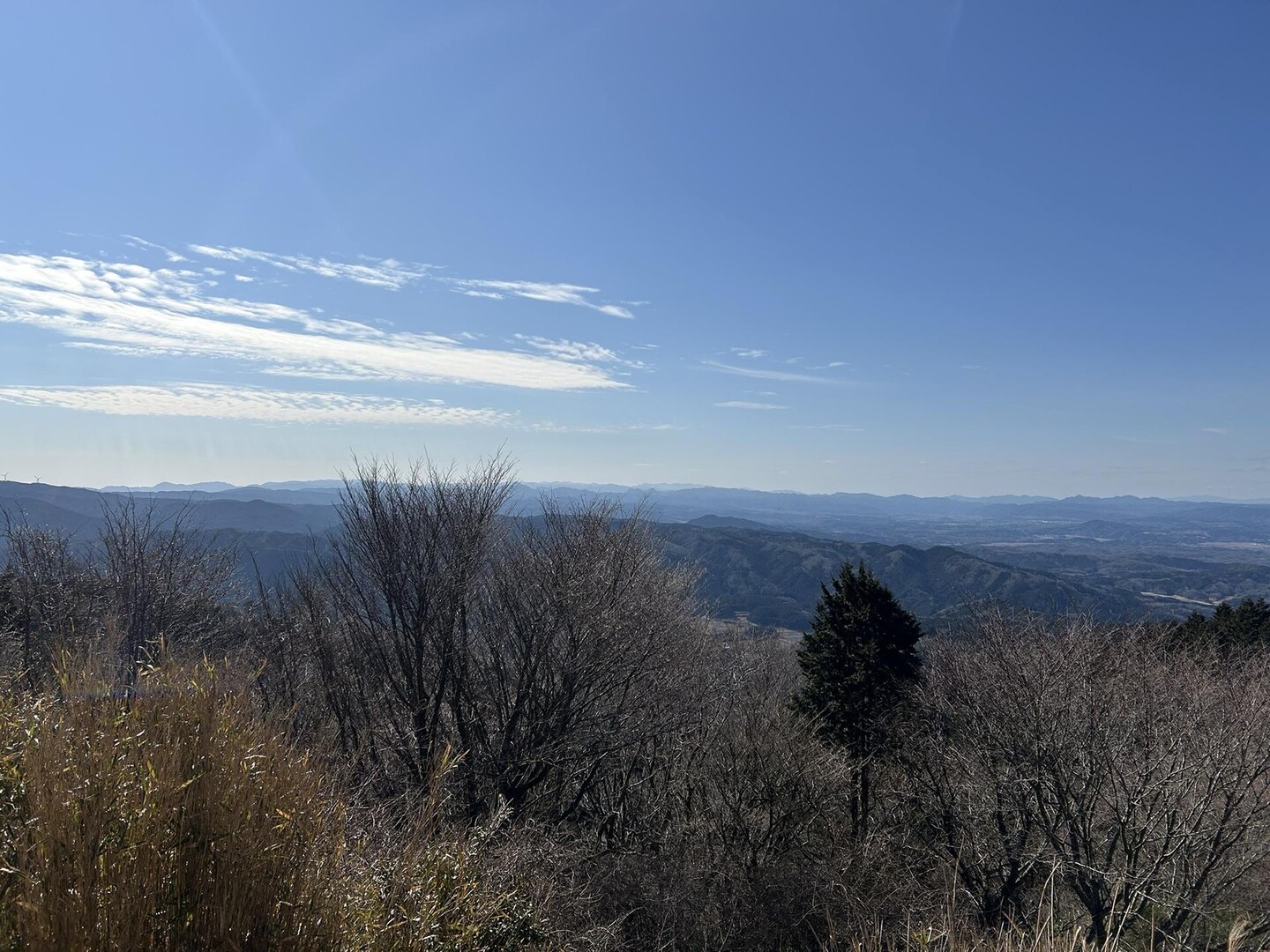 西教山 / annaさんの霊山・西教山の活動データ | YAMAP / ヤマップ