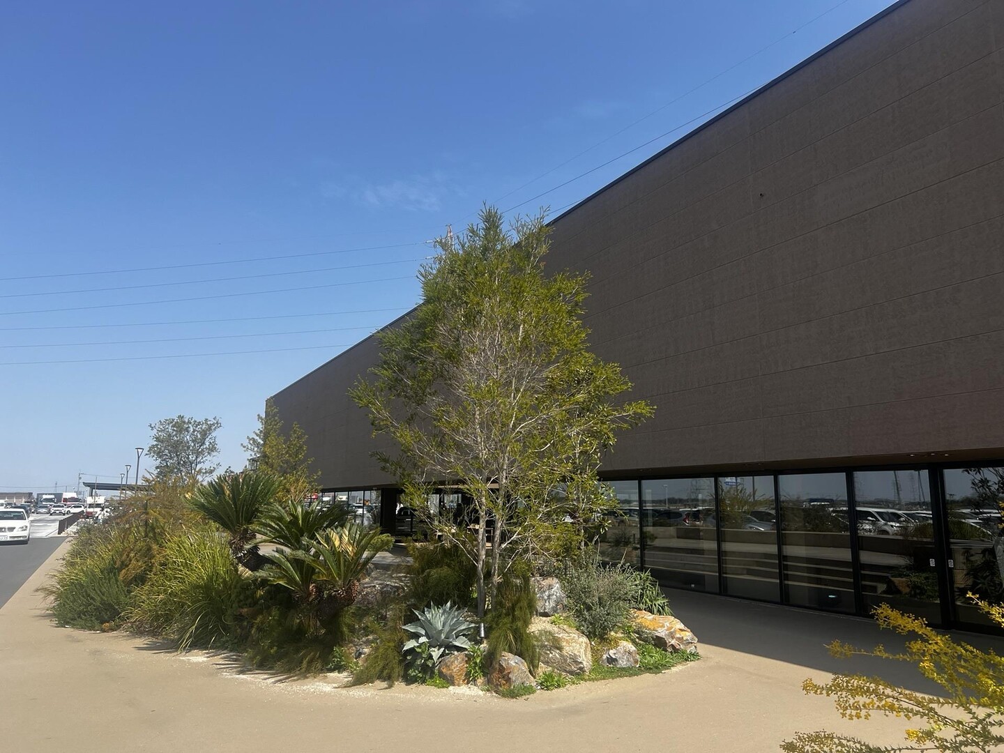 今日は妻の息抜きドライブ😃 ソメイヨシ... / つちのこ®︎さんのモーメント | YAMAP / ヤマップ