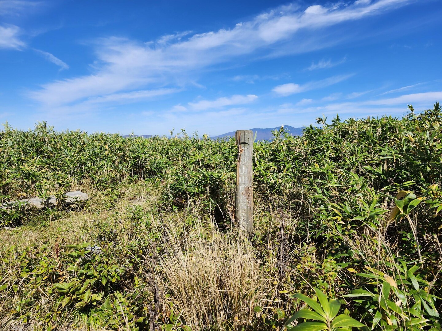 白地山(東北百名山山行 その1) / Guest_599304 ツクバのやまおとこさんの白地山の活動日記 | YAMAP / ヤマップ