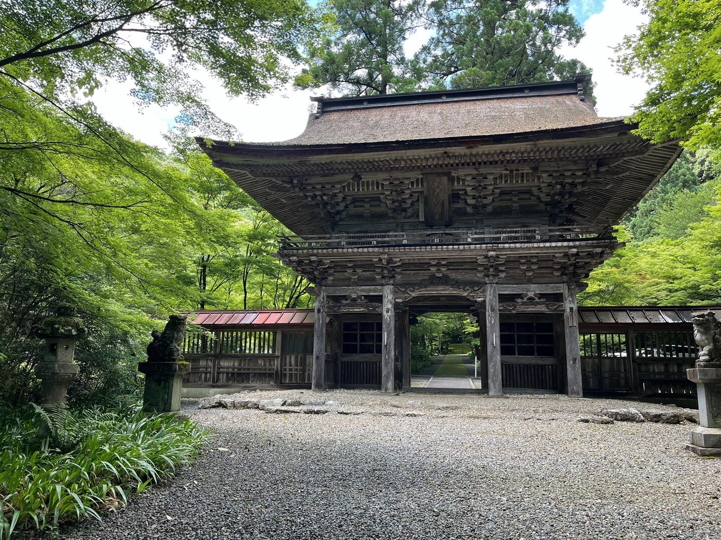 梅雨の晴れ間トレ💦 天王山 / kunitaroさんの天王山・誕生山の活動データ | YAMAP / ヤマップ