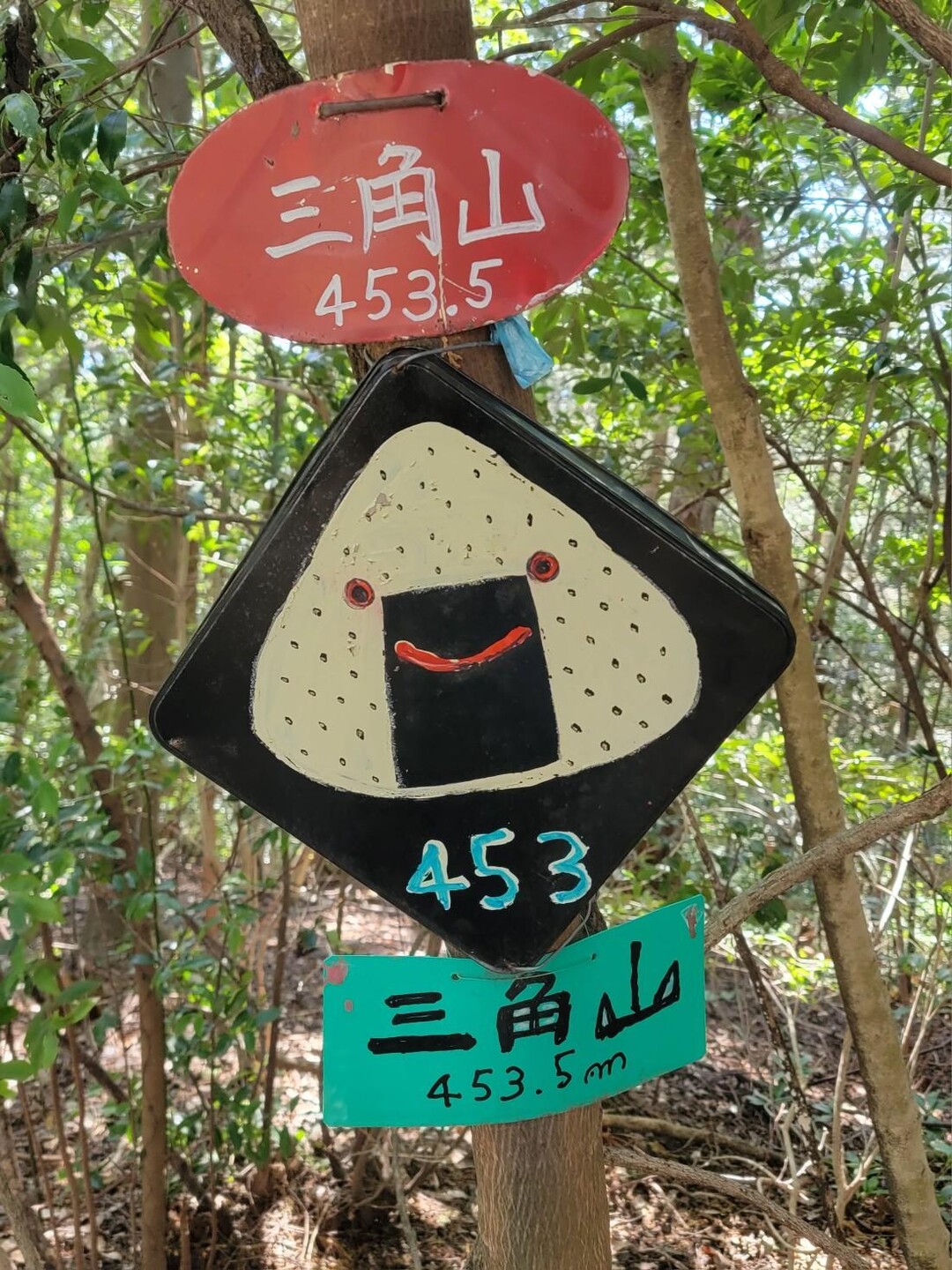 大佐野山・前黒金山・黒金山・ハート山（牛頸南峰）・三市町山・髙地山・茨山・三角山 / マーチングマーチさんの牛頸山・黒金山・観音山の活動データ | YAMAP / ヤマップ