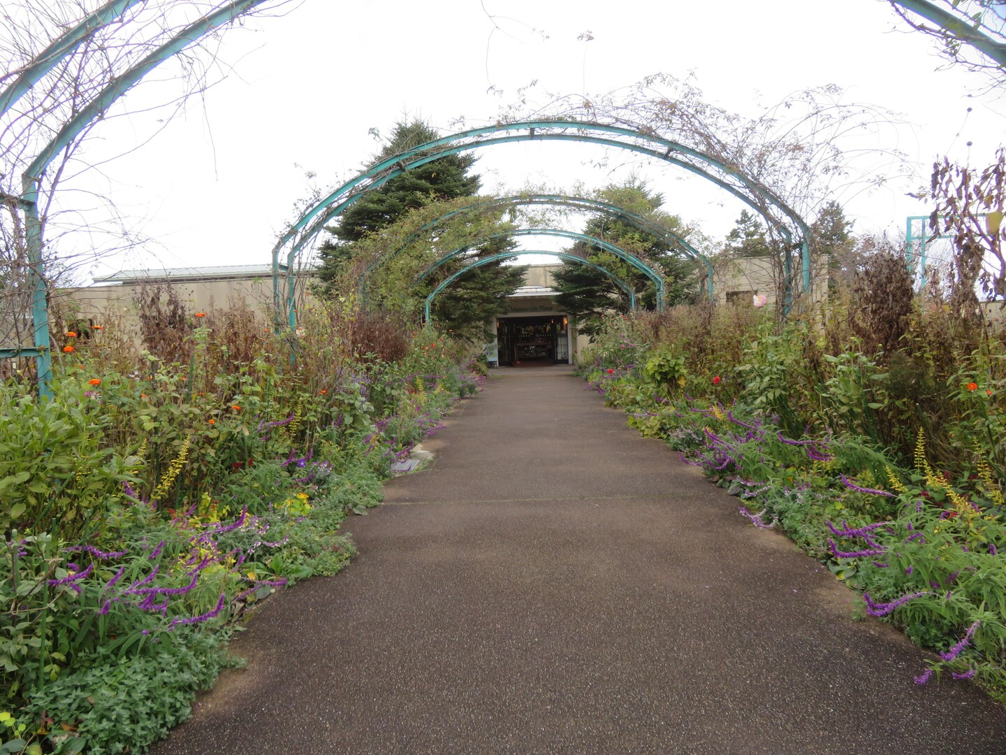 じゃない方😆で🔺集め &雲母坂 out トレイルも|дﾟ)ﾁﾗｯ / andyさんの京都一周トレイルの活動データ | YAMAP / ヤマップ