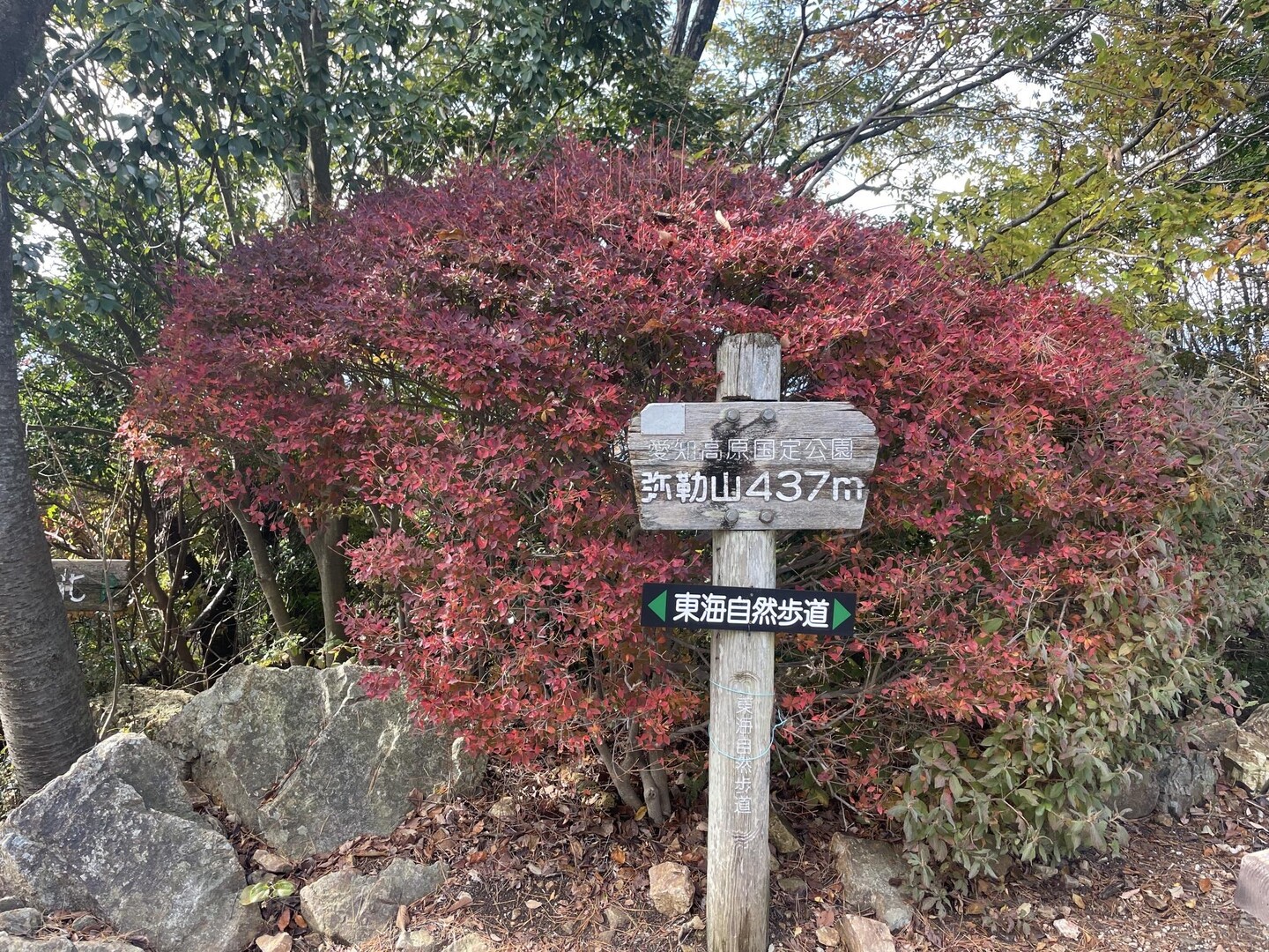 弥勒山 晴れ時々雨 / aichi ksさんの春日井三山・弥勒山・大谷山・道樹山の活動データ | YAMAP / ヤマップ