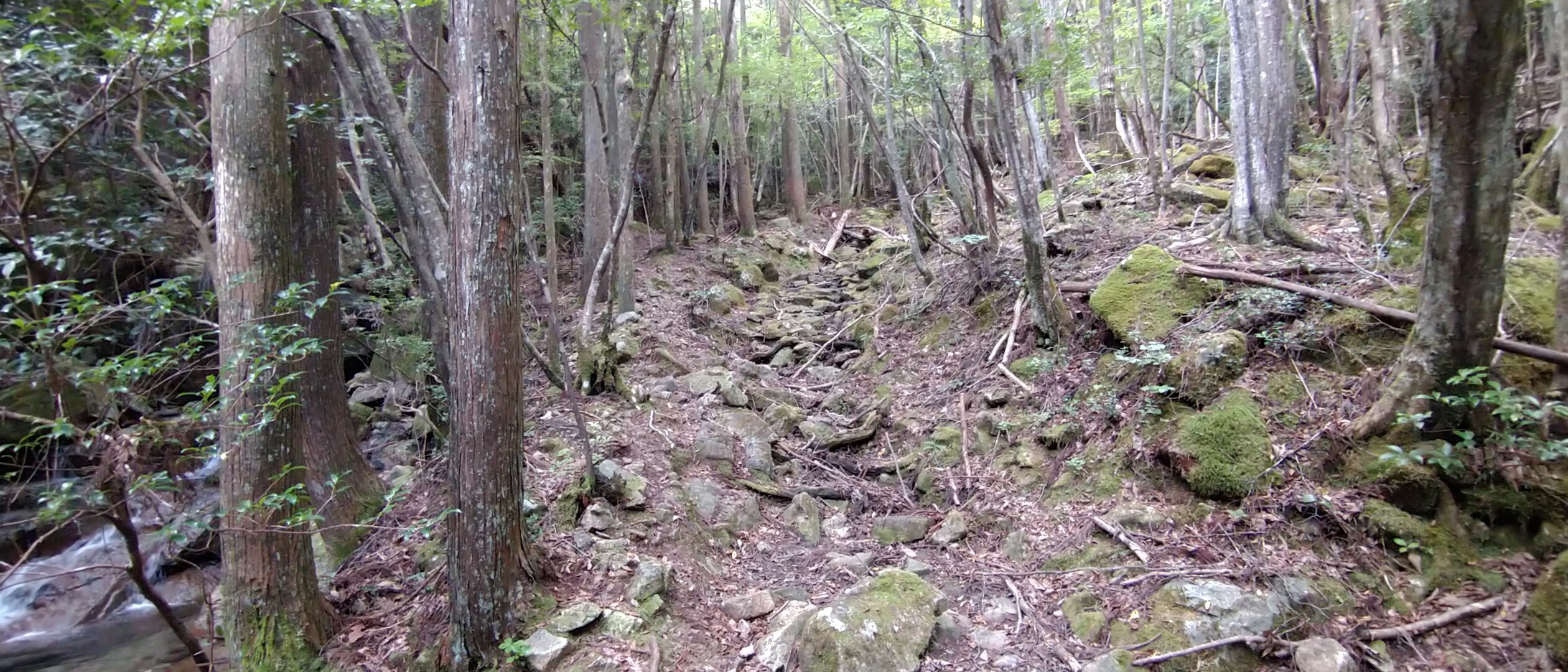 kame11さんの投稿したフィールドメモ | YAMAP / ヤマップ