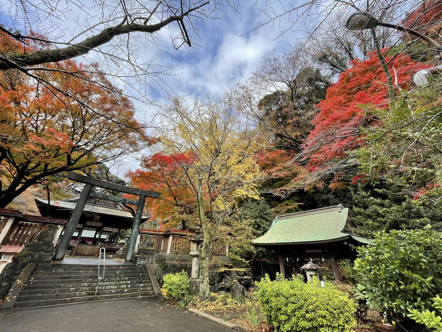 ☔️止み間に 天筒山 / miniさんの天筒山・中池見湿地の活動データ | YAMAP / ヤマップ