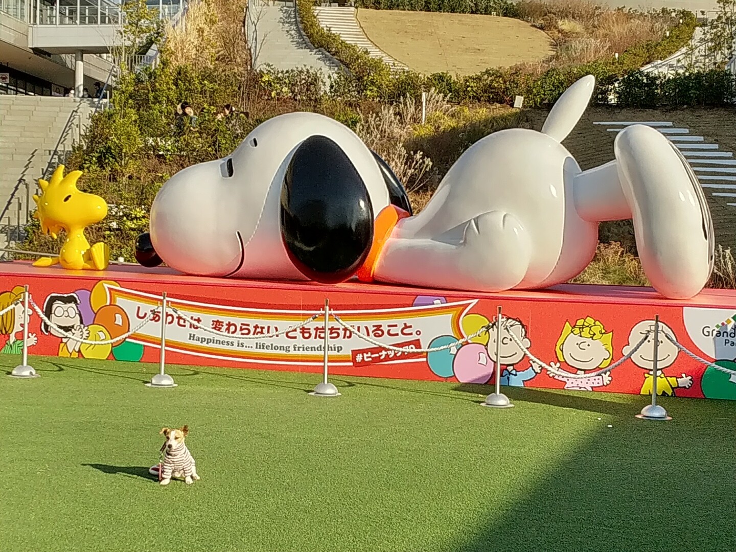 全長6mの巨大スヌーピーが東京都町田市南... / ryuyuさんのモーメント | YAMAP / ヤマップ