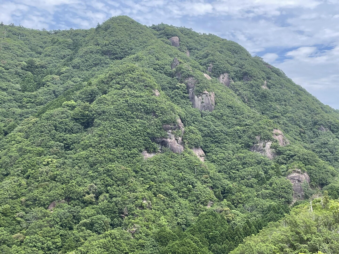 龍神山・三星山 / pepperさんの田辺市・高尾山・龍神山・奇絶峡の活動データ | YAMAP / ヤマップ