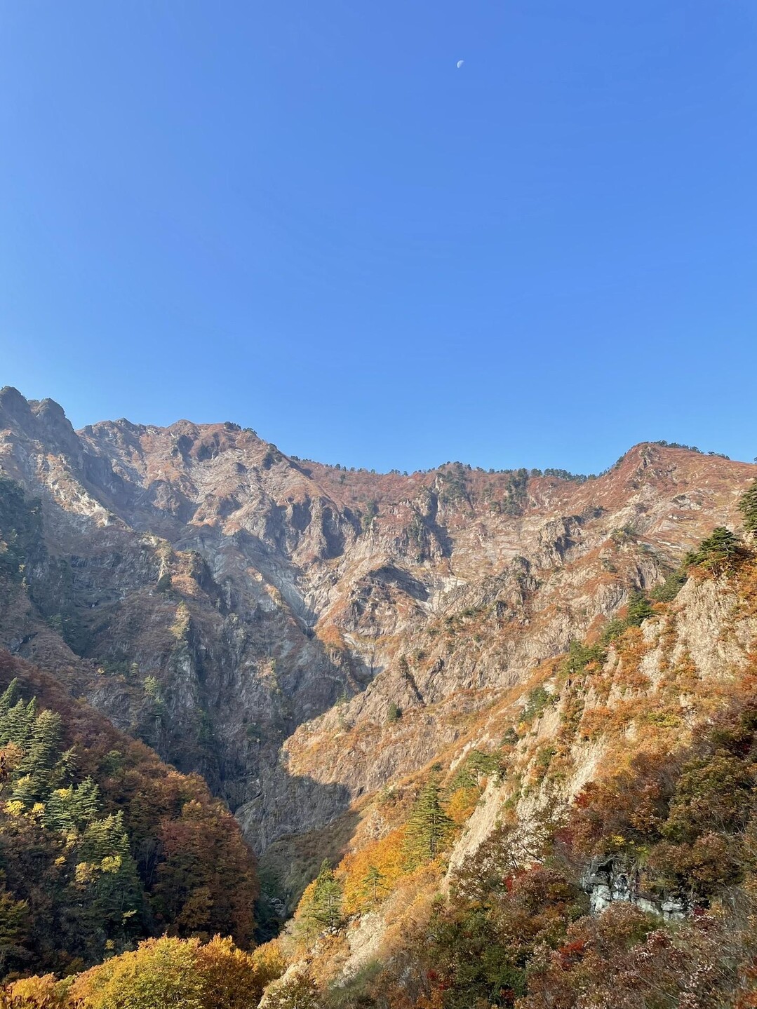 高頭・湯沢の頭・雨乞峰・御神楽岳 / mokumokuさんの御神楽岳・雨乞峰の活動データ | YAMAP / ヤマップ