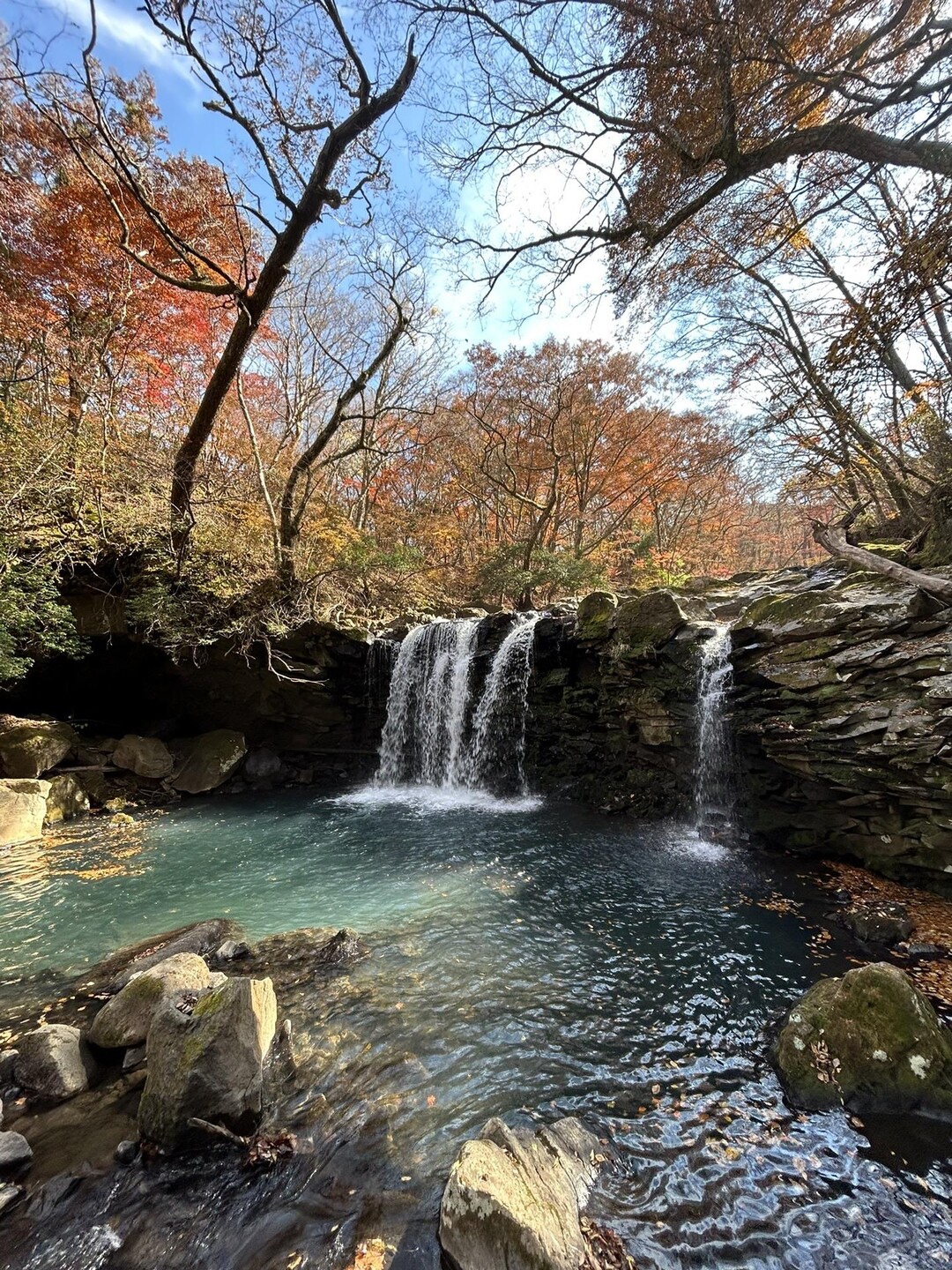 大船山🍁法華院山荘 泊⛰️ / ryu_ich1さんの九重山（久住山）・大船山・星生山の活動データ | YAMAP / ヤマップ