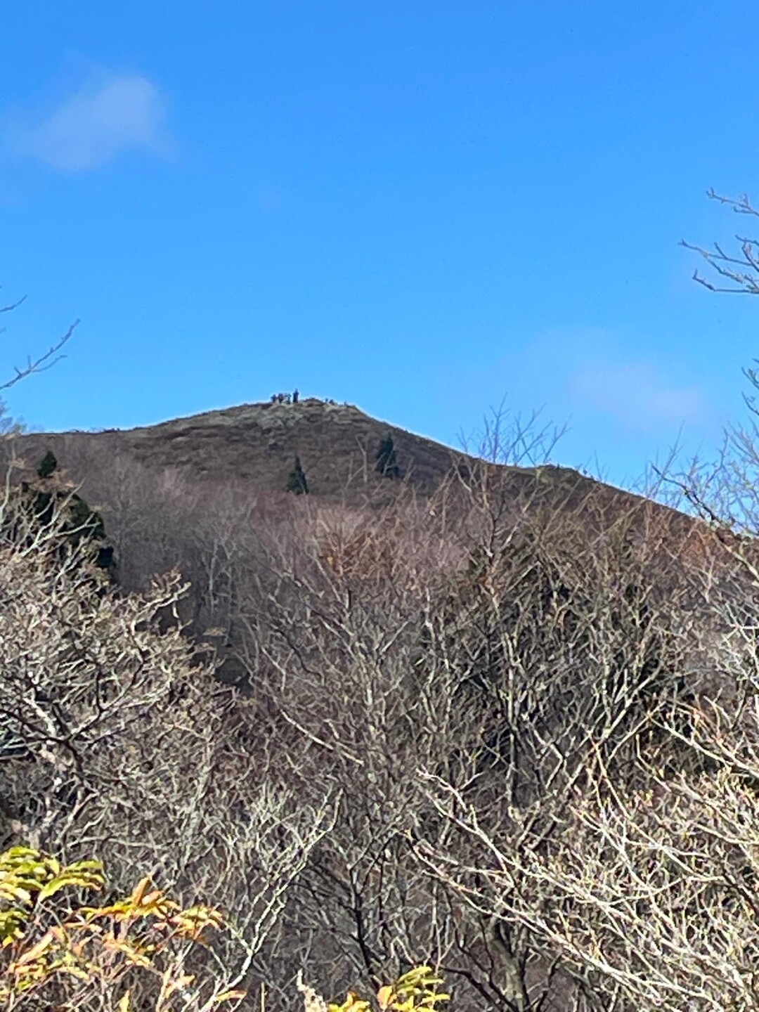 コヤマノ岳・武奈ヶ岳・前山 / T1333さんの比良山地・武奈ヶ岳・釈迦岳の活動データ | YAMAP / ヤマップ