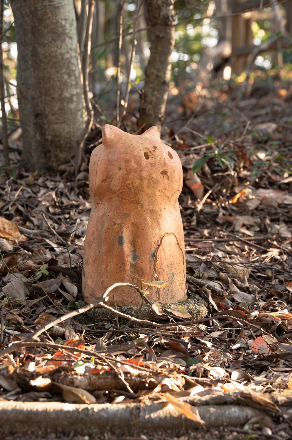 湖西連峰ハイキング 神石山の動画アップし... / vlog_tottiyさんのモーメント | YAMAP / ヤマップ