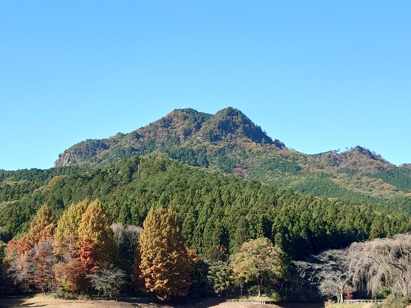 ウォーキング-2023-11-18 / YUTAさんのウォーキングの活動データ | YAMAP / ヤマップ