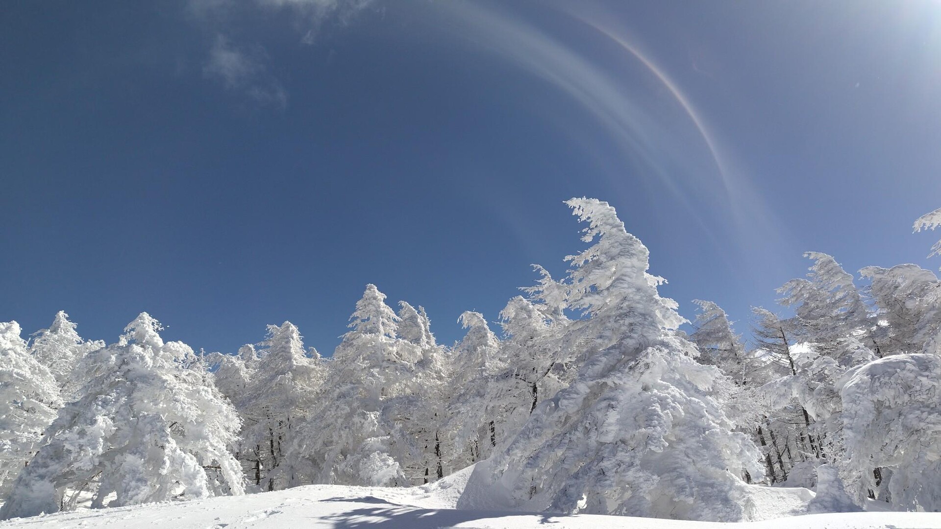 絶景Monster ️南沢山 / akkoさんの恵那山・大判山・神坂山の活動データ | YAMAP / ヤマップ