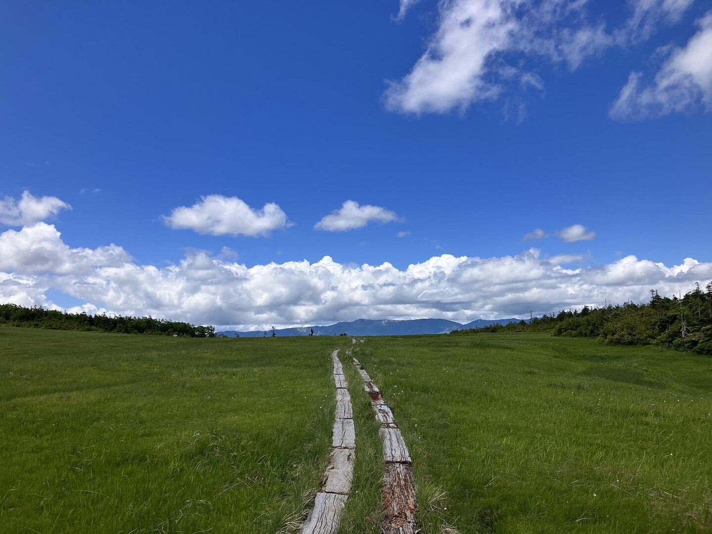 頂上が絶景、田代山・帝釈山 ⛰️⛰️二百名山折り返し地点 / KIYAtさんの田代山・帝釈山の活動データ | YAMAP / ヤマップ