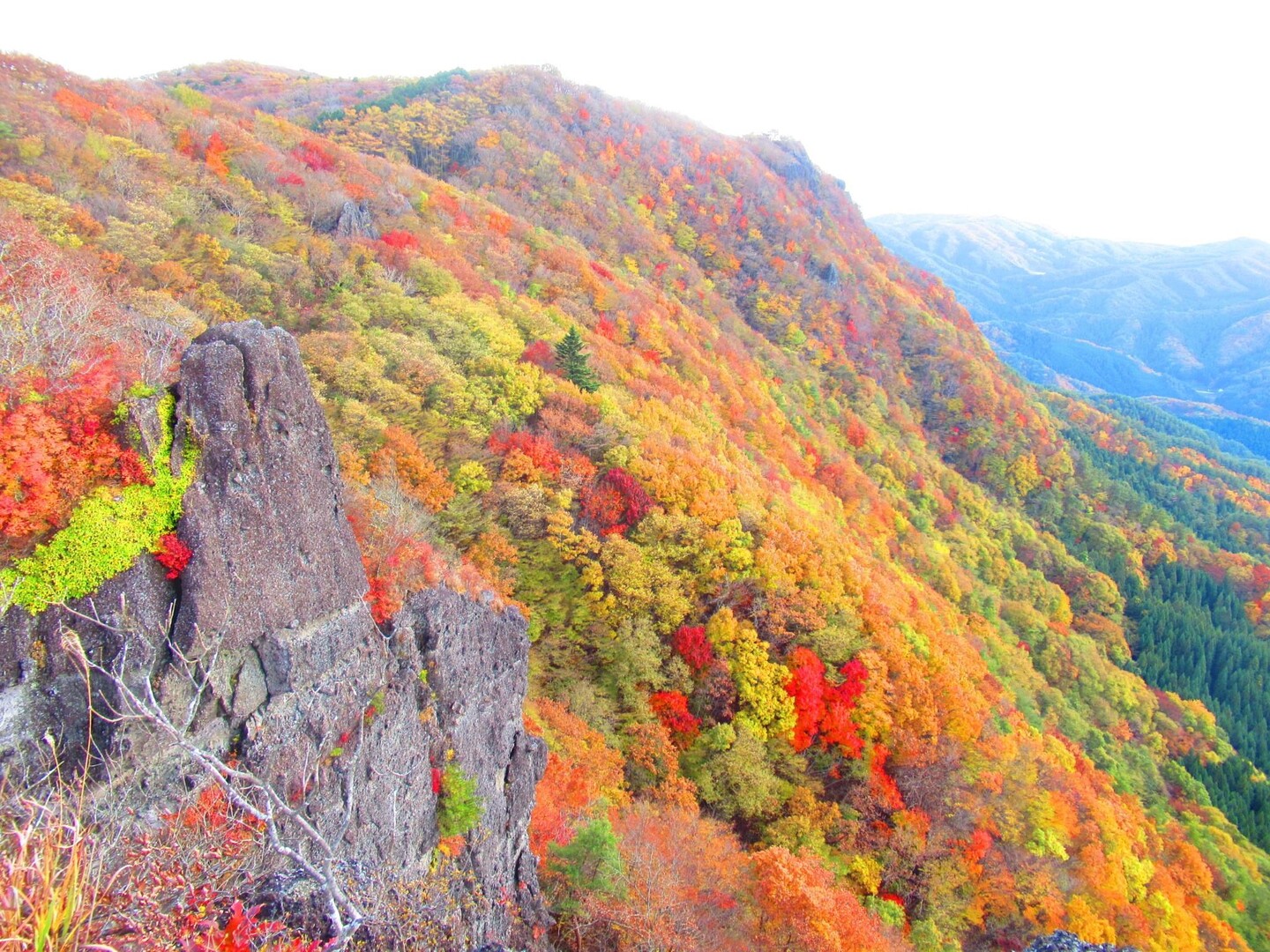 西ノ物見・霊山（東ノ物見） / y_kumataさんの霊山の活動データ | YAMAP / ヤマップ