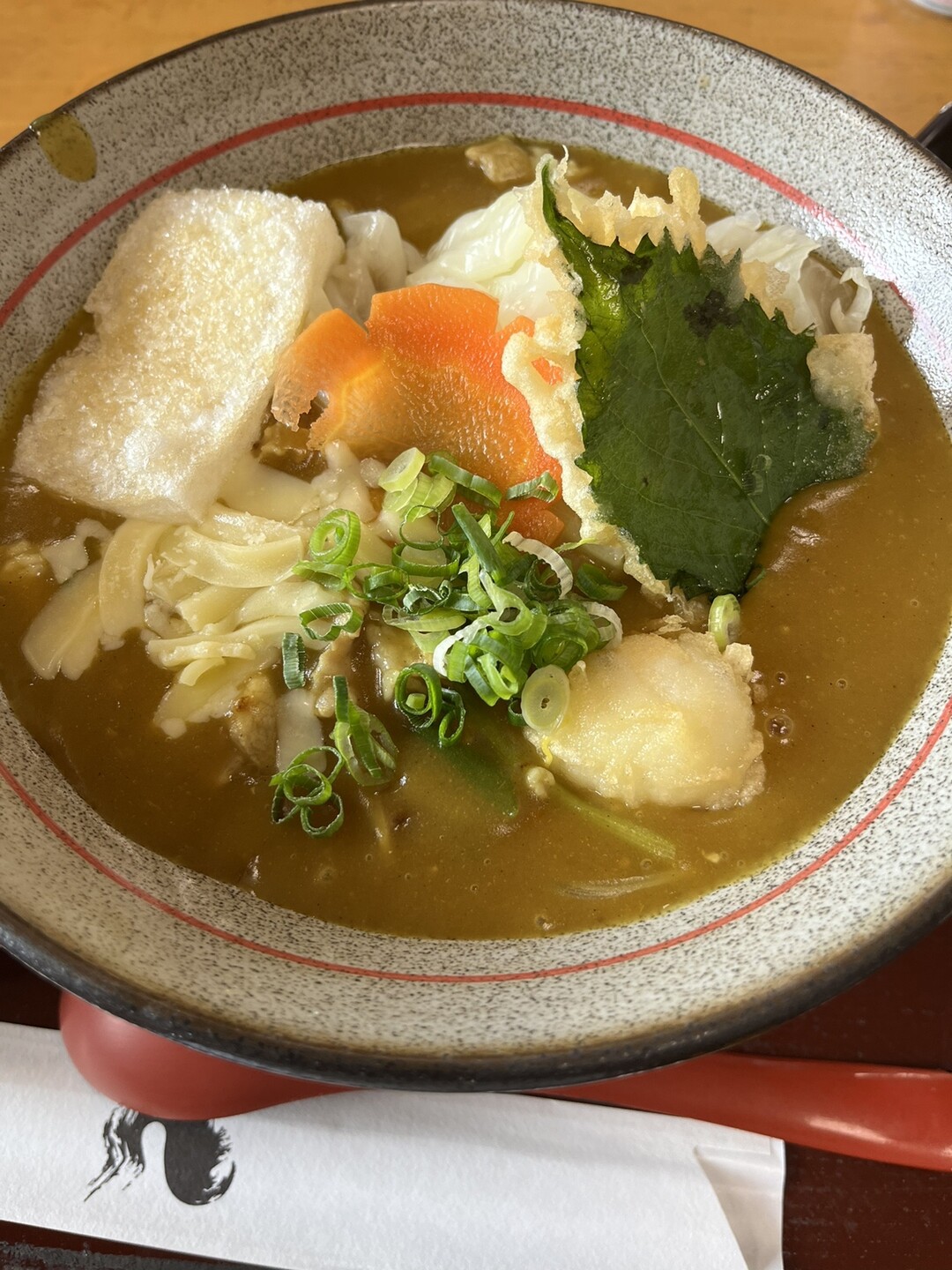松明峠を歩いたあと、ランチにカレーうどん... / cocoさんのモーメント | YAMAP / ヤマップ