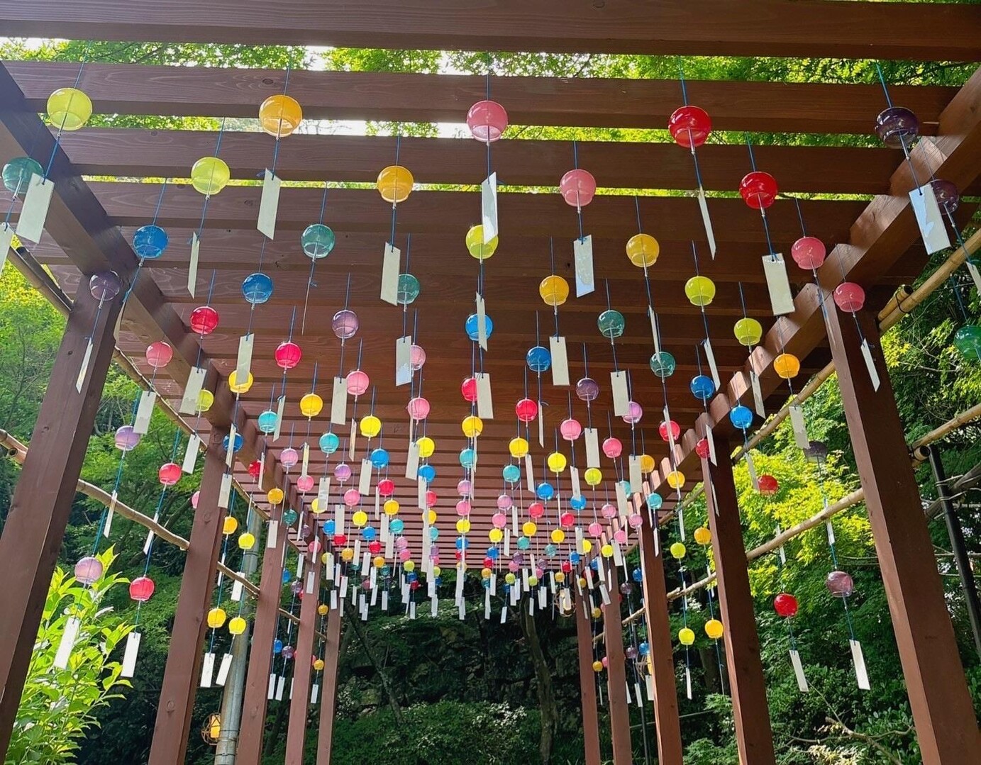 🌹鶴翼山（八幡山）🌹 / Pu-さんさんの八幡山（鶴翼山）の活動データ | YAMAP / ヤマップ