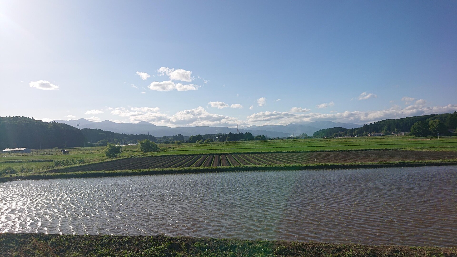 西那須野駅から矢板駅まで里山めぐり / あいてぃい65さんの烏ヶ森の活動データ | YAMAP / ヤマップ