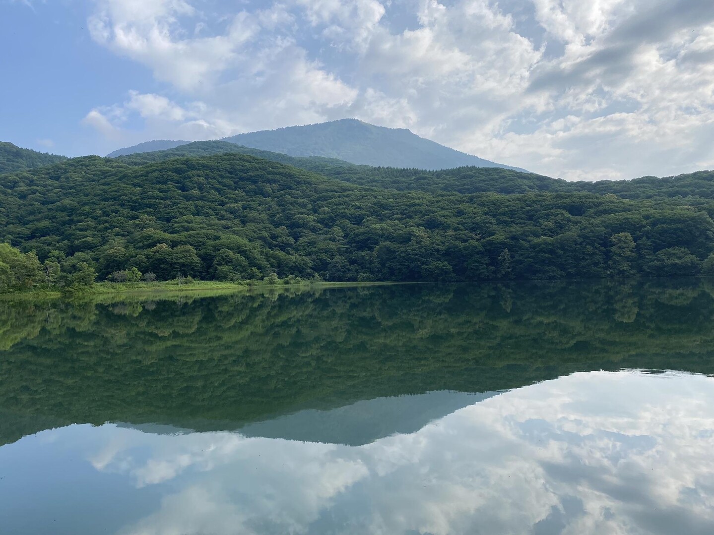 黒姫山2023/7/23 / j-poohさんの黒姫山の活動日記 | YAMAP / ヤマップ