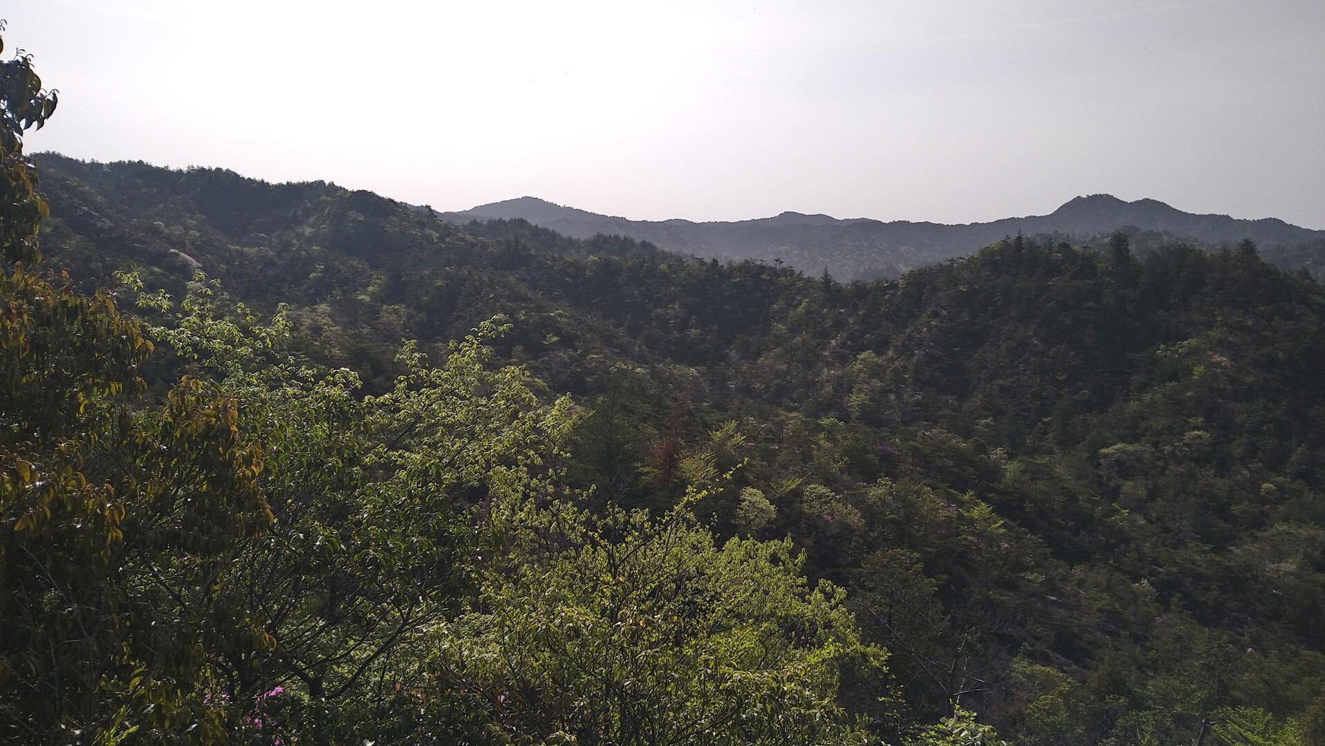 minyayonさんの投稿したフィールドメモ | YAMAP / ヤマップ