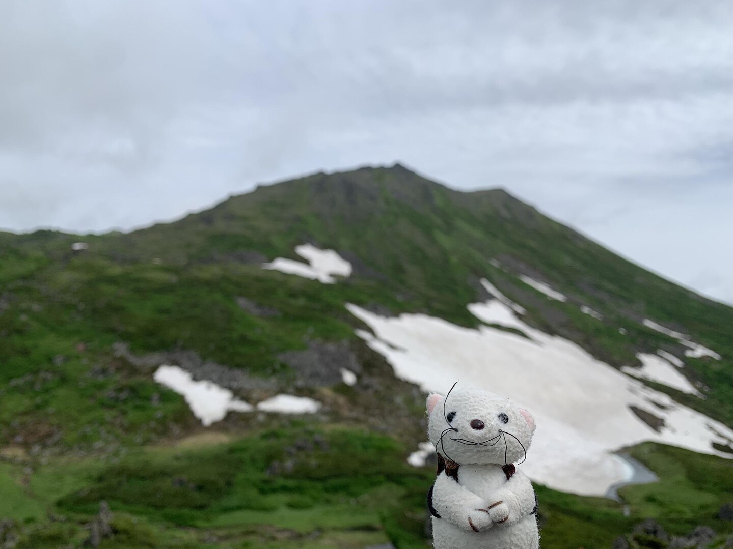 トムラウシ山 北海道登山 / ARさんの大雪山系・旭岳・トムラウシの活動データ | YAMAP / ヤマップ