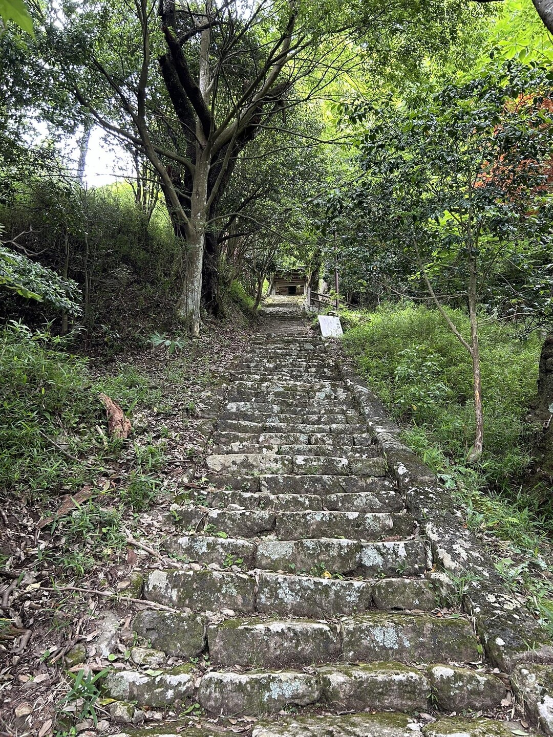 額井岳 / tomtomさんの額井岳の活動データ | YAMAP / ヤマップ