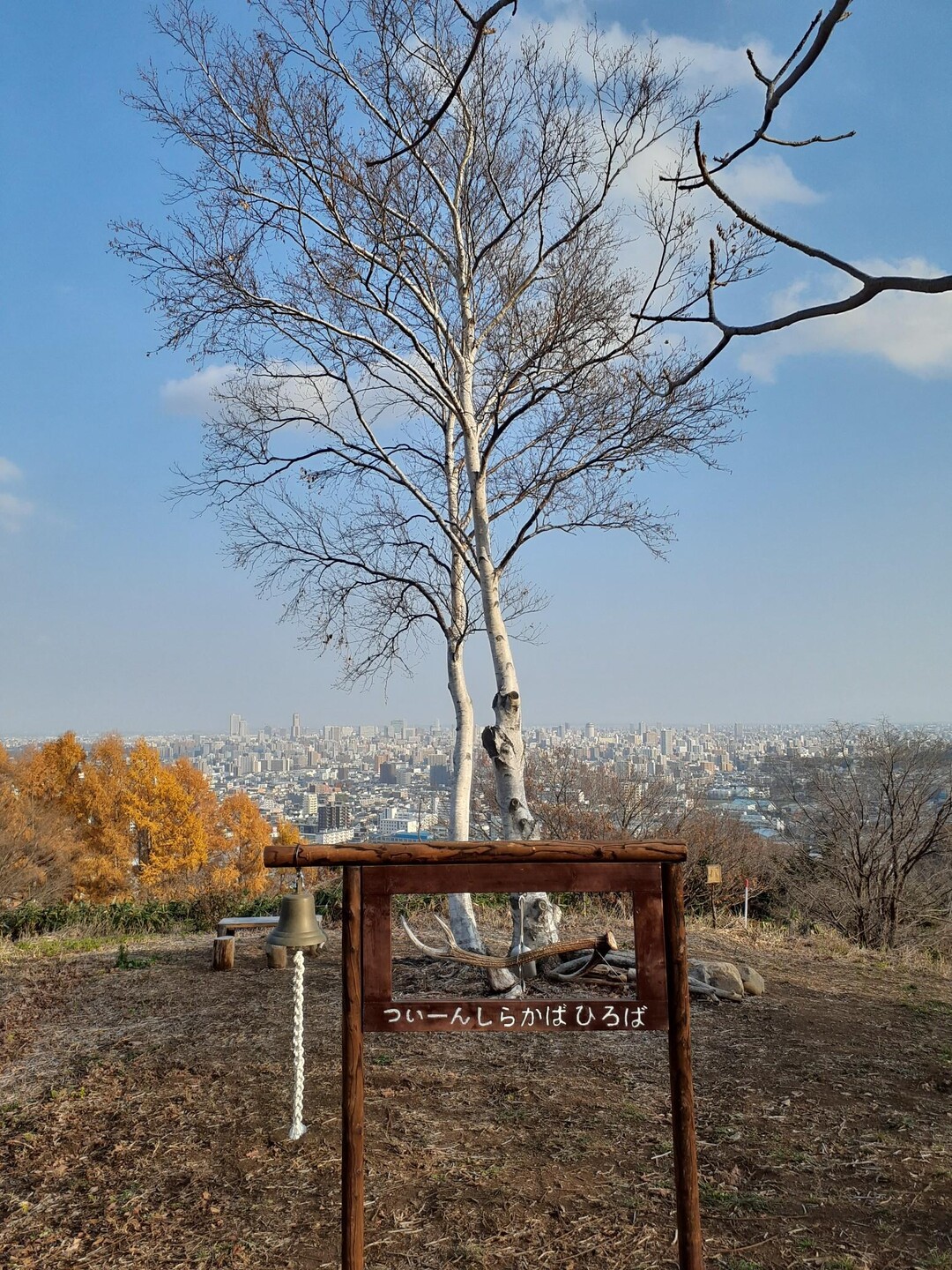 三角山・大倉山・赤坂山 / noriGさんの三角山・大倉山・円山の活動データ | YAMAP / ヤマップ