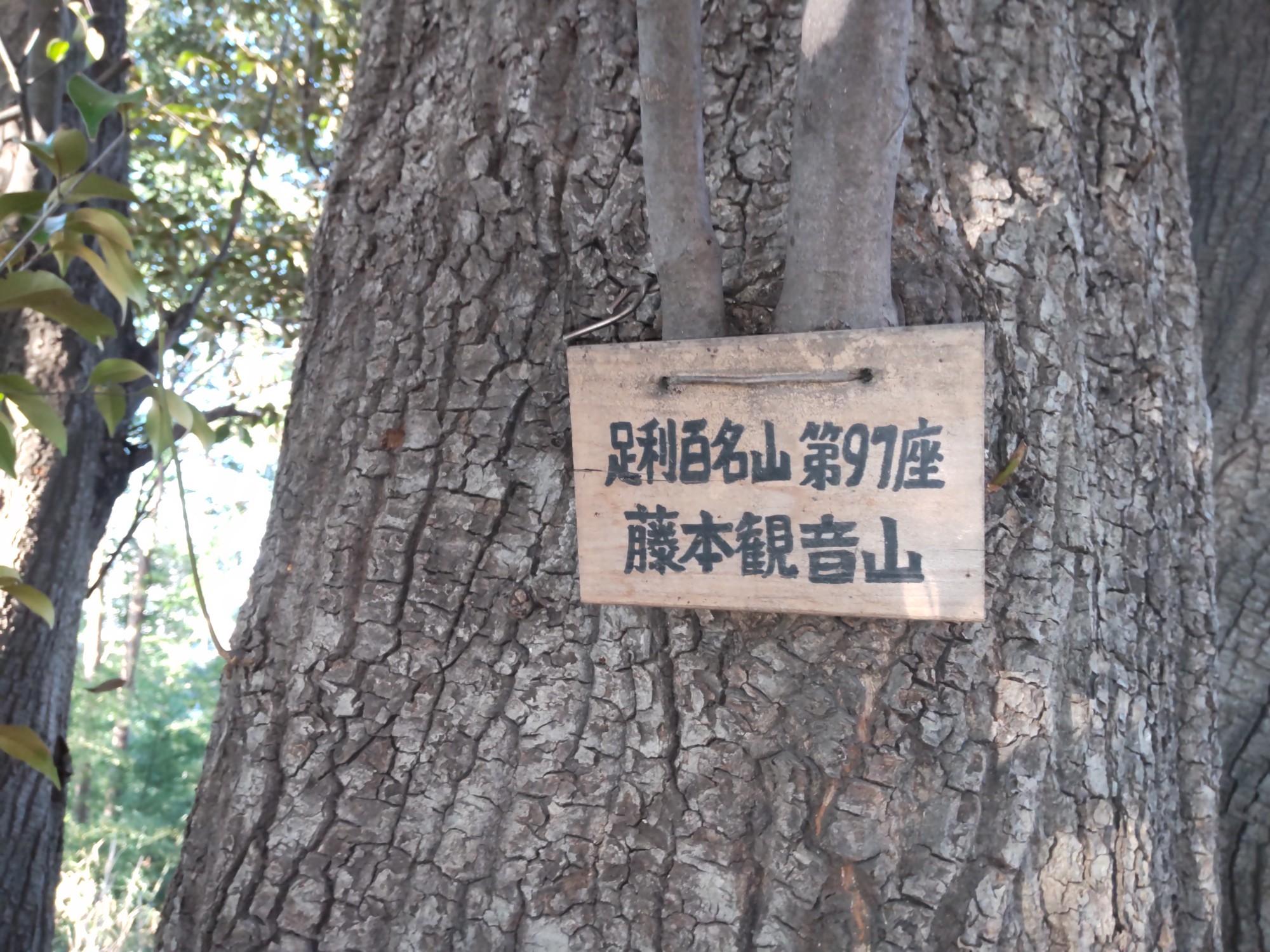 足利100名山 No97 藤本観音山 / たかっちさんの金山（新田金山）・八王子丘陵の活動データ | YAMAP / ヤマップ