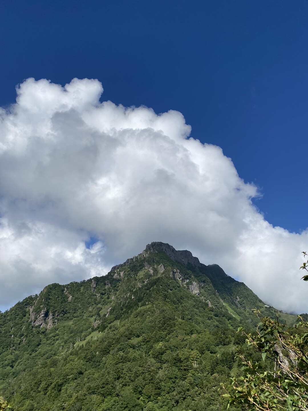 2023夏〜東稜〜（南尖峰・天狗岳・石鎚山） / tat-ninoさんの石鎚山・堂ヶ森・二ノ森の活動日記 | YAMAP / ヤマップ