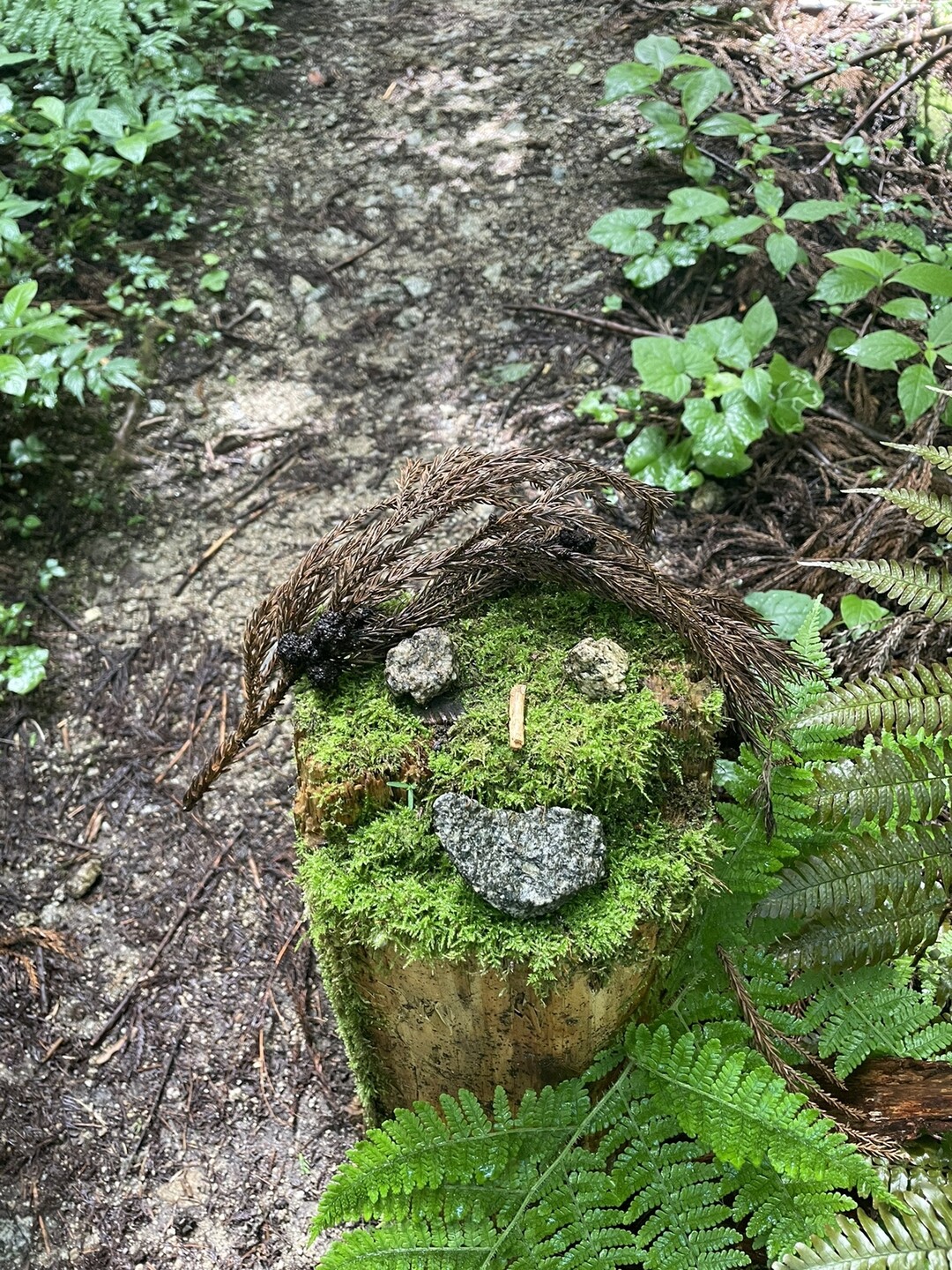 祝 ️10回目 金剛山 / kooさんの金剛山・二上山・大和葛城山の活動データ | YAMAP / ヤマップ