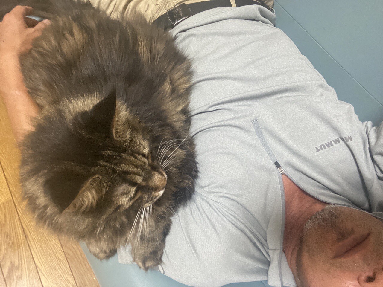 昨日1回目で絶賛副反応中です。 はよ沢に... / T.Haradaさんのモーメント | YAMAP / ヤマップ