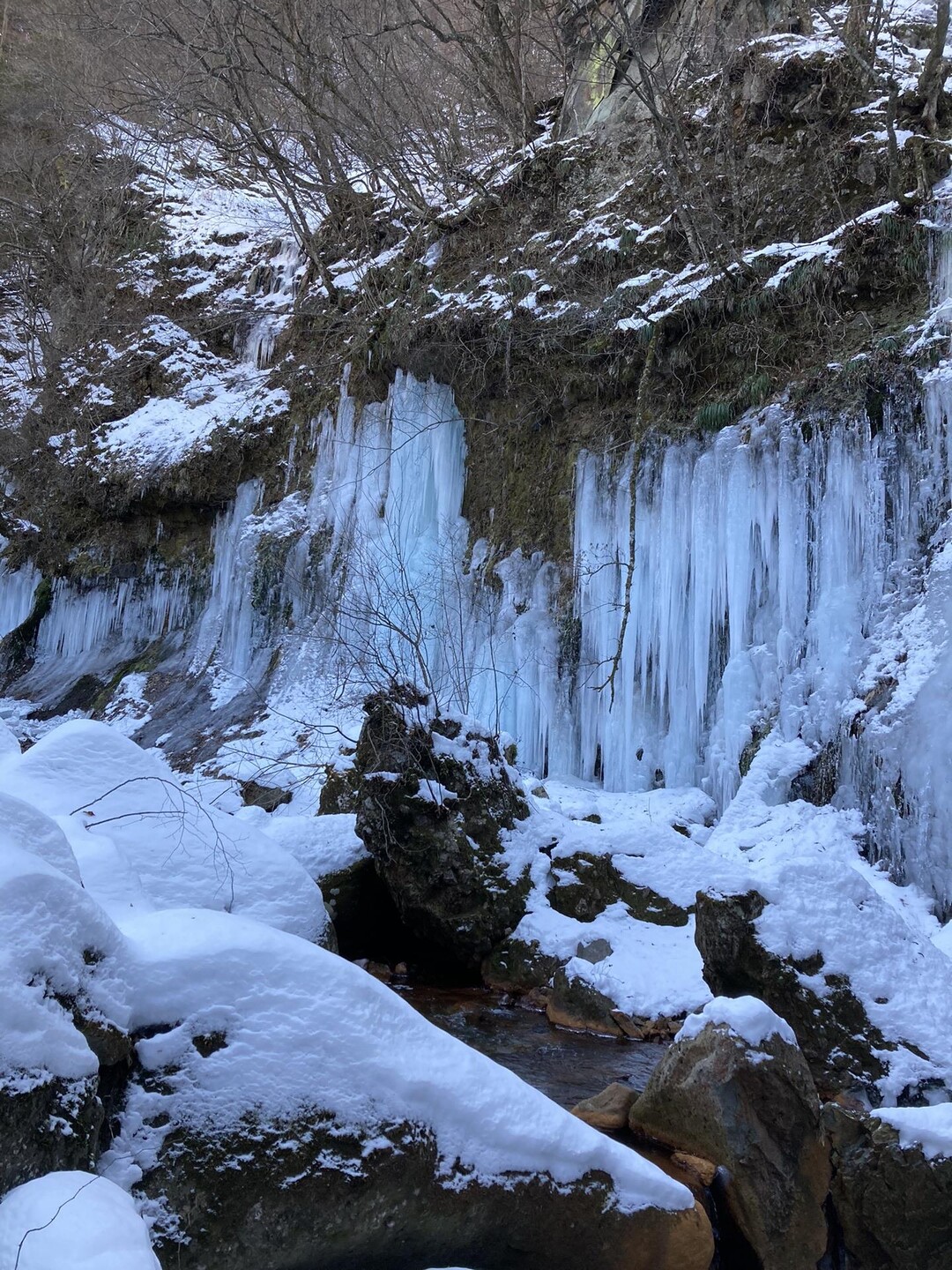 冬の横谷峡 / haiziさんのハイキングの活動データ | YAMAP / ヤマップ