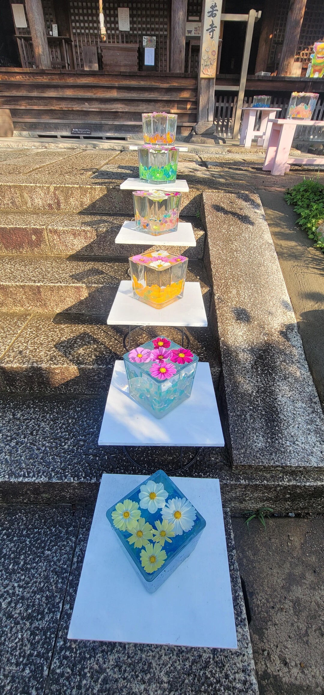 いいお天気☀️やったのでコスモスを観に行... / だぶちゃんさんのモーメント | YAMAP / ヤマップ