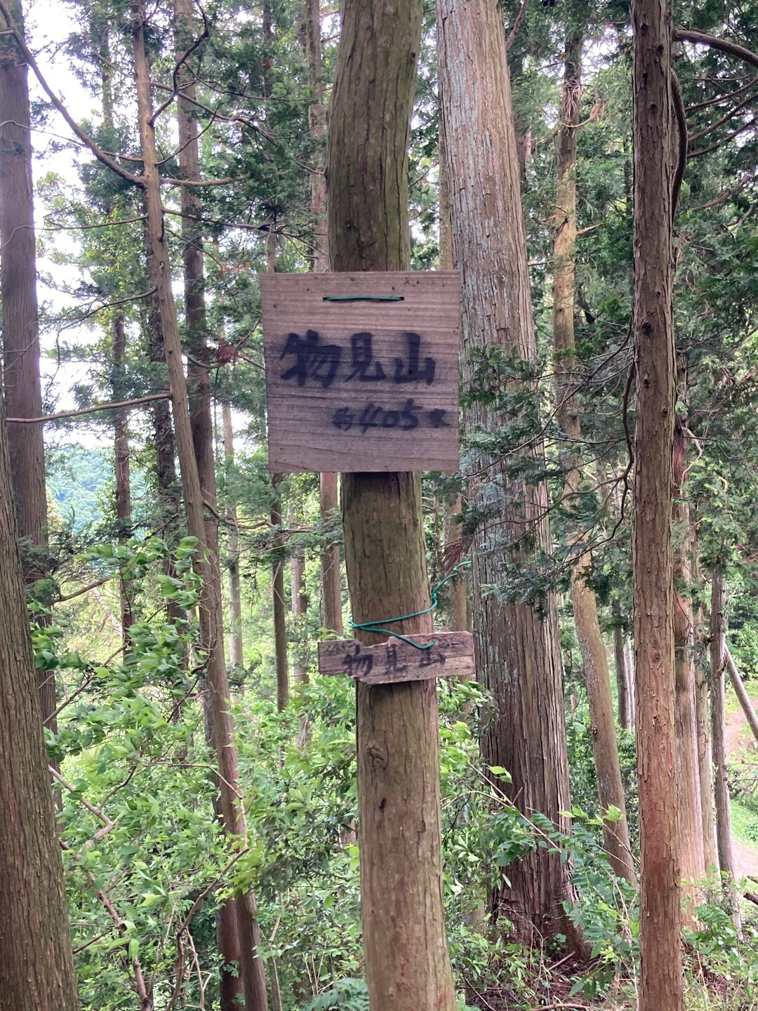 Yamamiさんの投稿したフィールドメモ | YAMAP / ヤマップ