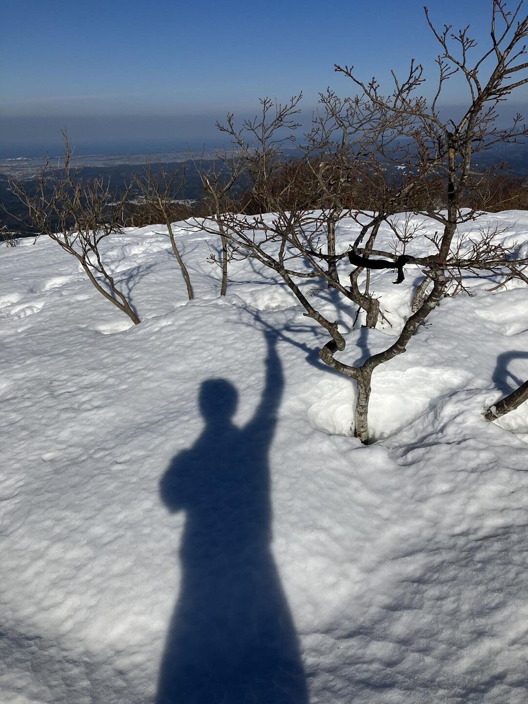 2023年 年末晦日の医王山 / Live 4 todayさんの医王山・白兀山・箱屋谷山の活動日記 | YAMAP / ヤマップ