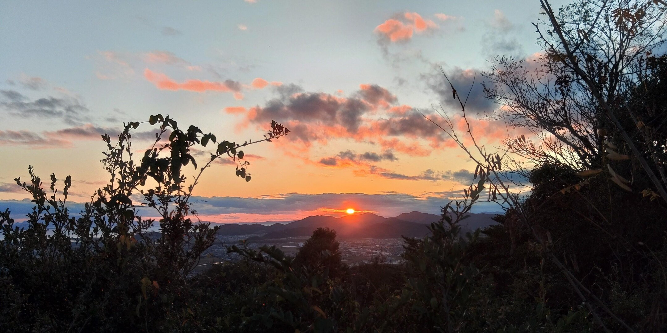 久しぶりの夕日（京見山）-2023-11-11 / MC先輩さんの京見山・檀特山・朝日山の活動データ | YAMAP / ヤマップ