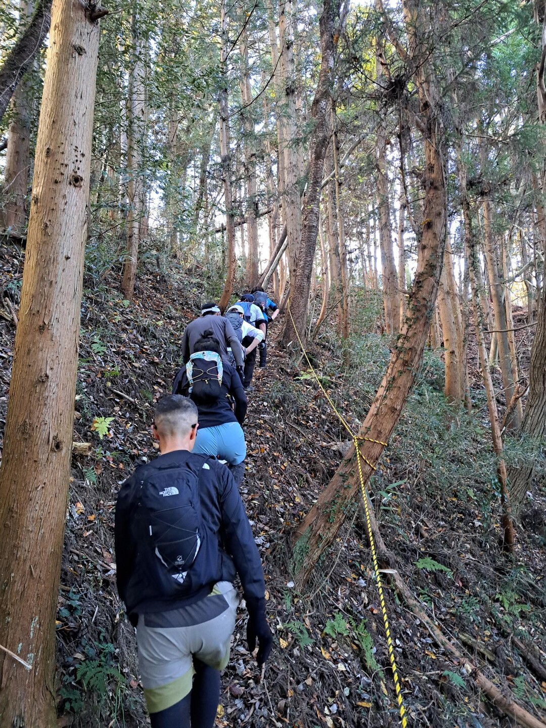わたりトレイル試走2回目 / FUKUさんの四方山の活動データ | YAMAP / ヤマップ