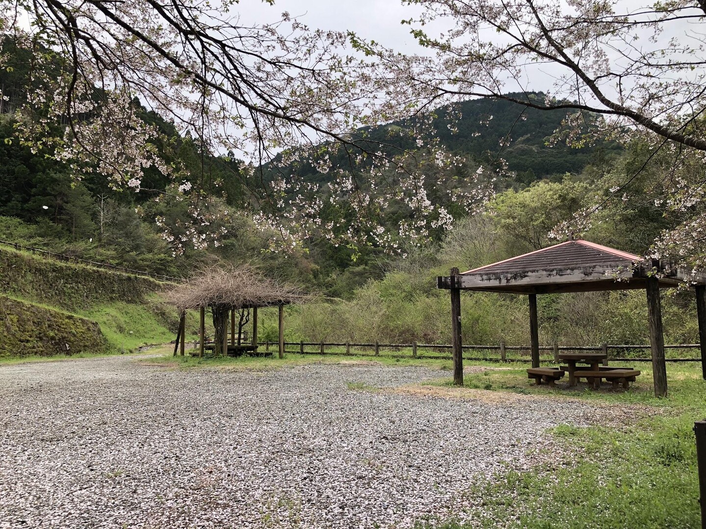 陣ヶ森 / CHAさんの日高村の活動日記 | YAMAP / ヤマップ