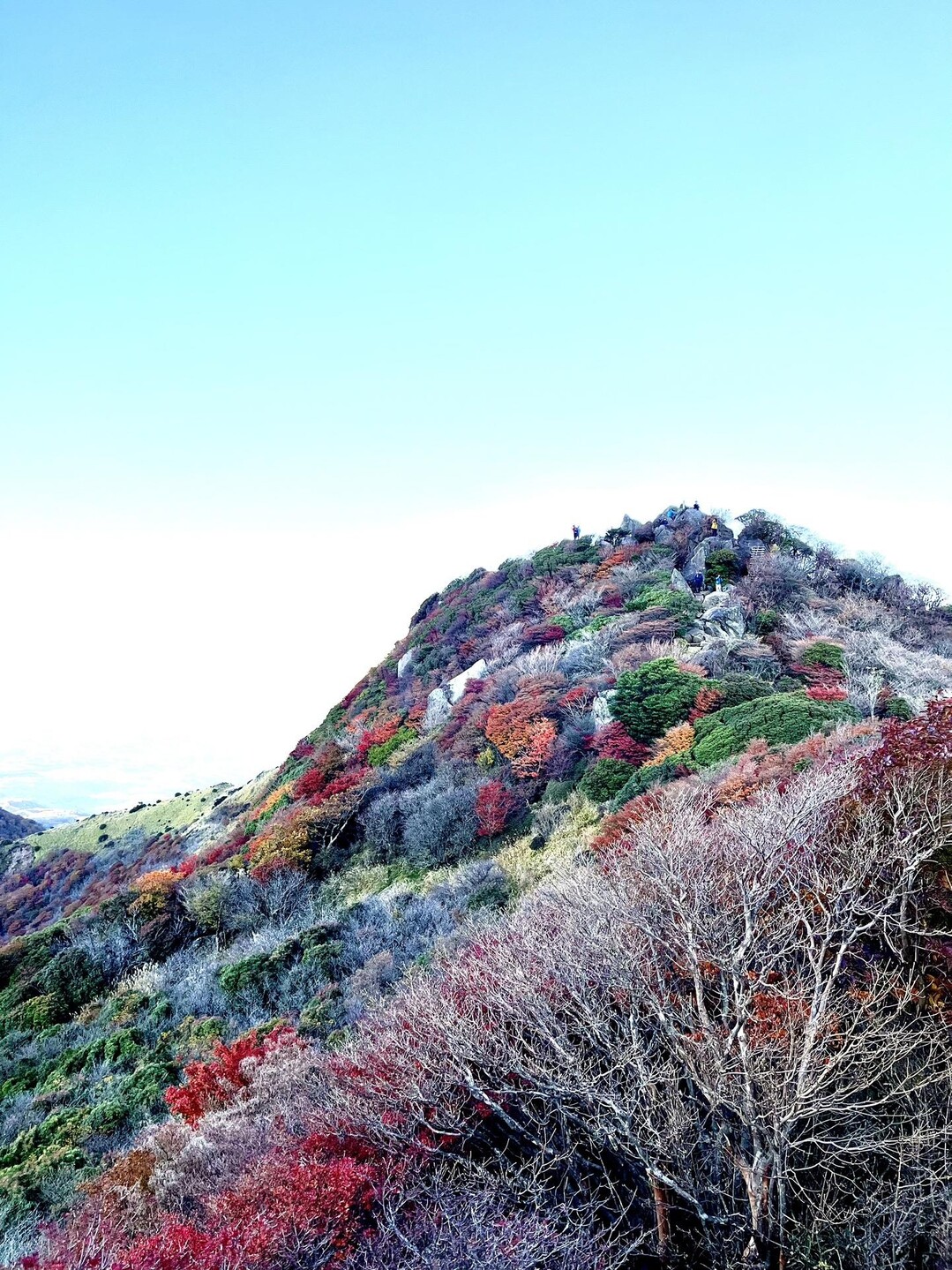 タイトル「カラフル」 この秋、念願の久... / やまだんごTVさんのモーメント | YAMAP / ヤマップ