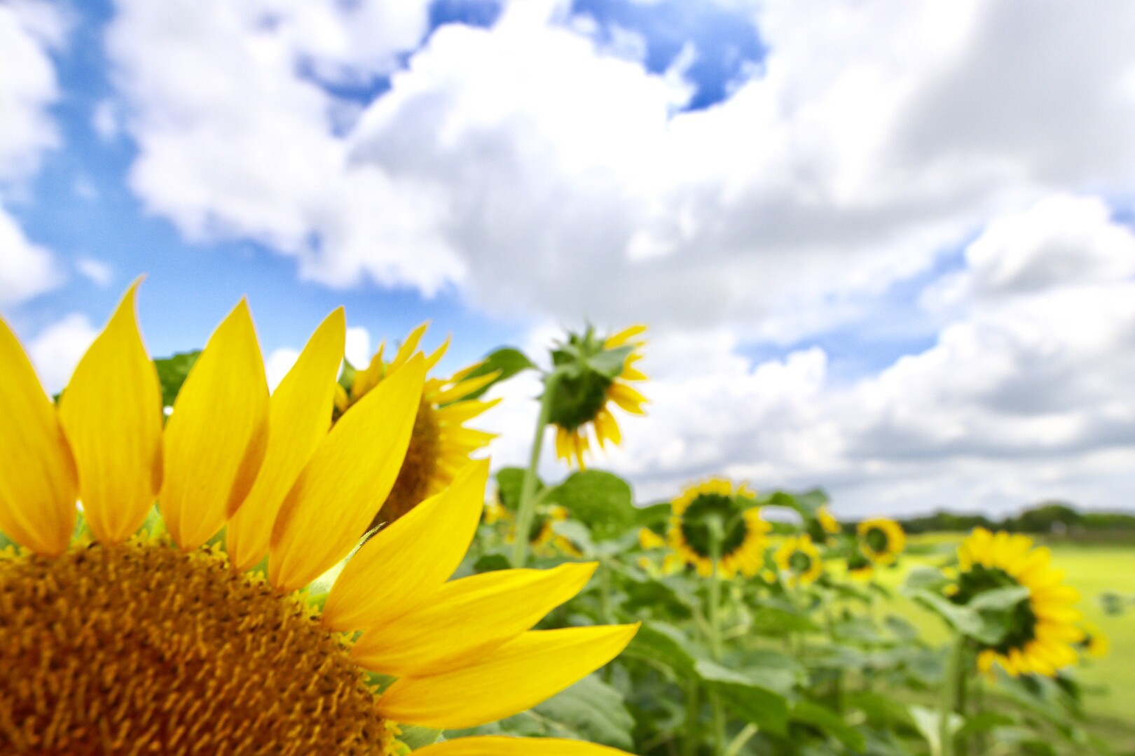 雨やん😭三倉クライミングできん！！ / さとちゃん(iotan)さんの広島市の活動データ | YAMAP / ヤマップ