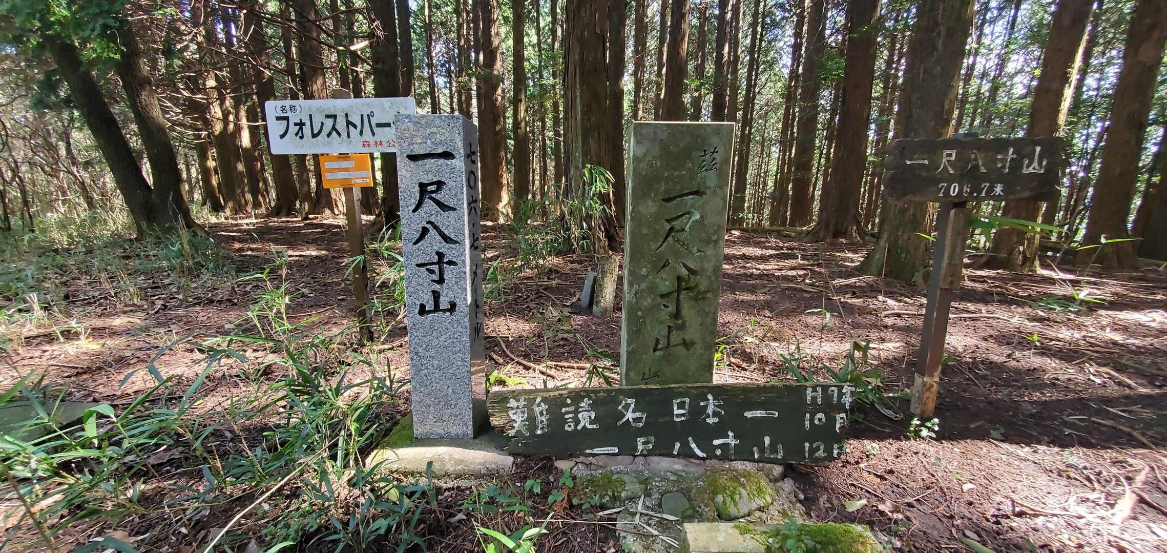 寄道PHトレジョグ 一尺八寸山 / hirobonさんの一尺八寸山の活動データ | YAMAP / ヤマップ