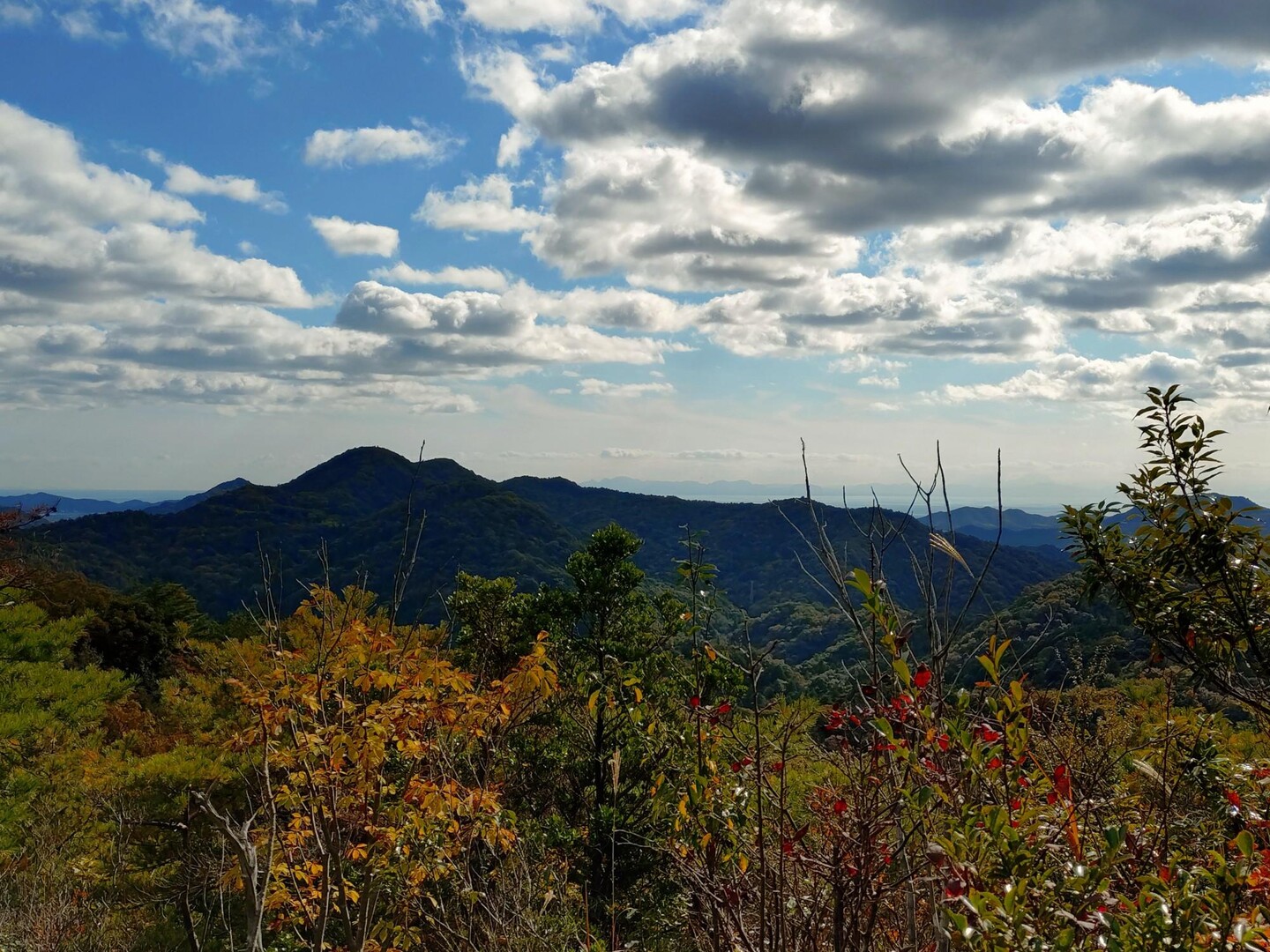 高倉山 / emu626さんの黒河内山の活動データ | YAMAP / ヤマップ