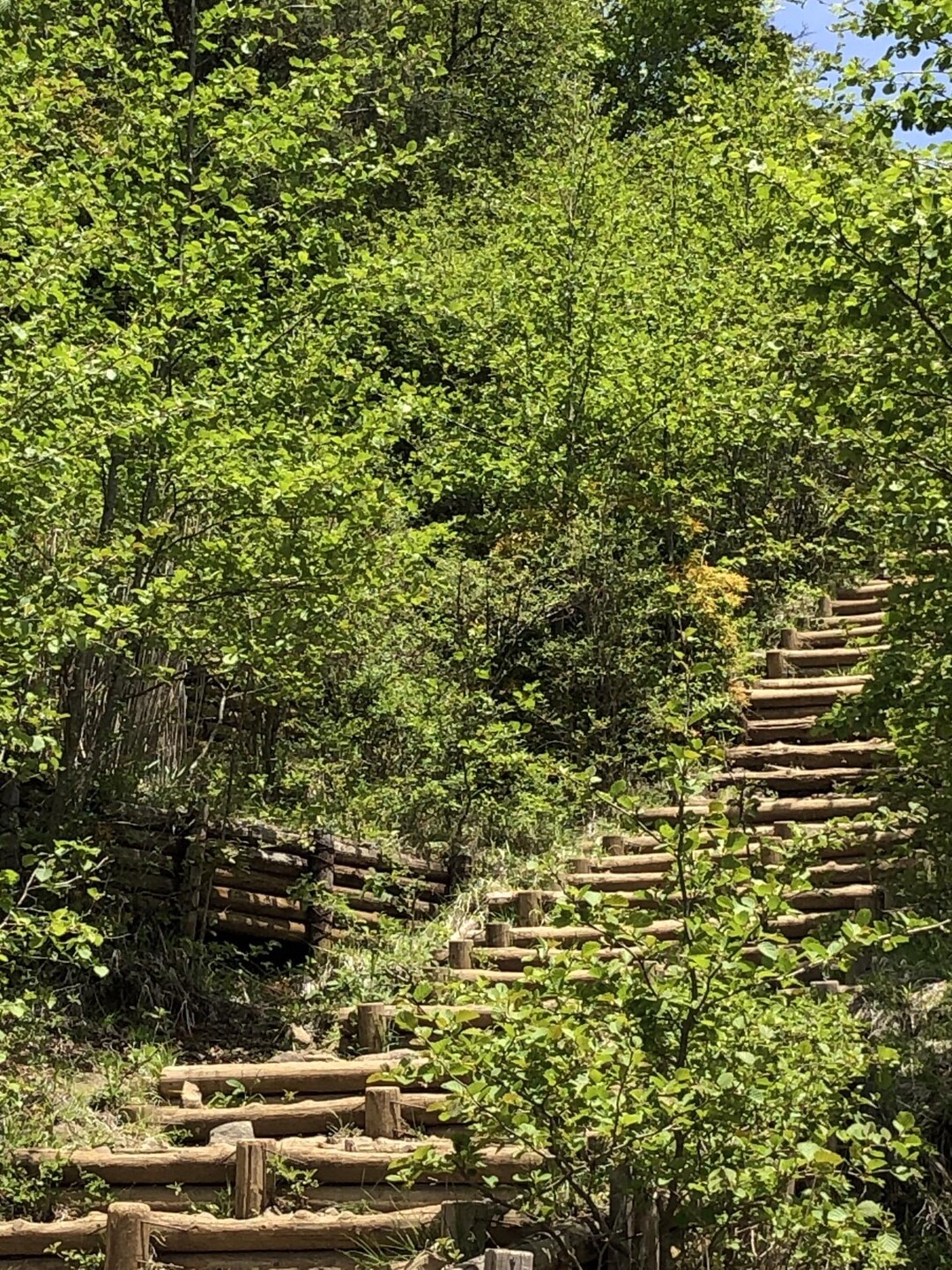 バカ尾根を行く！塔ノ岳 / chiiさんの塔ノ岳・丹沢山・蛭ヶ岳の活動日記 | YAMAP / ヤマップ