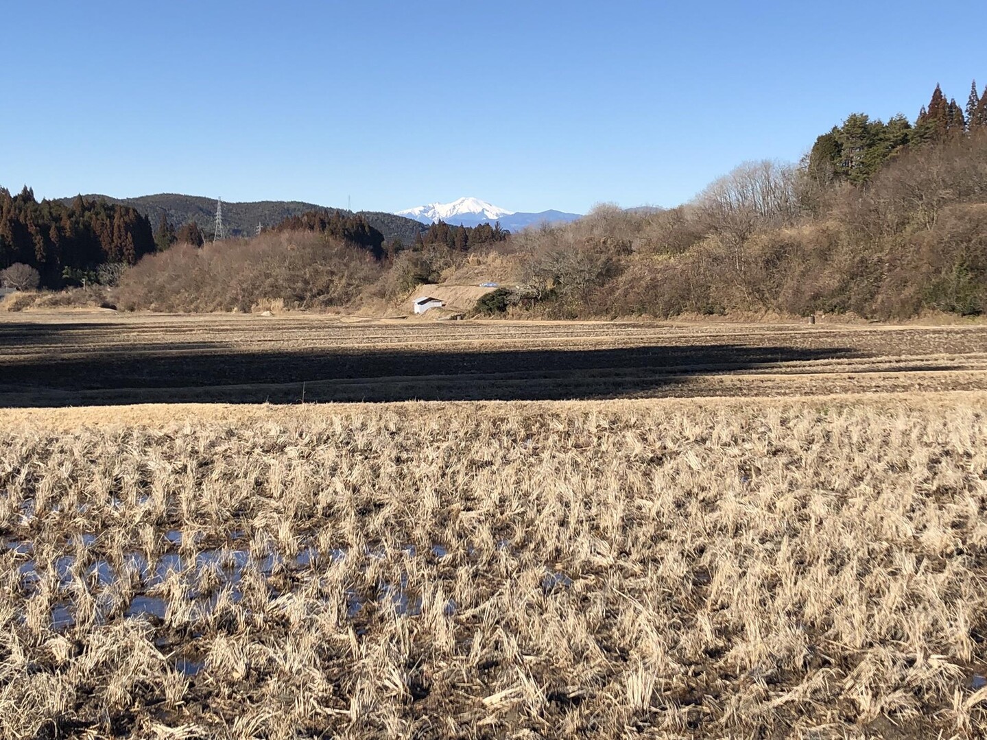 東海自然歩道完歩への旅（明智町コース、岩村町コース） / n-matsuさんの東海自然歩道（伊勢神峠〜明智駅）の活動データ | YAMAP / ヤマップ