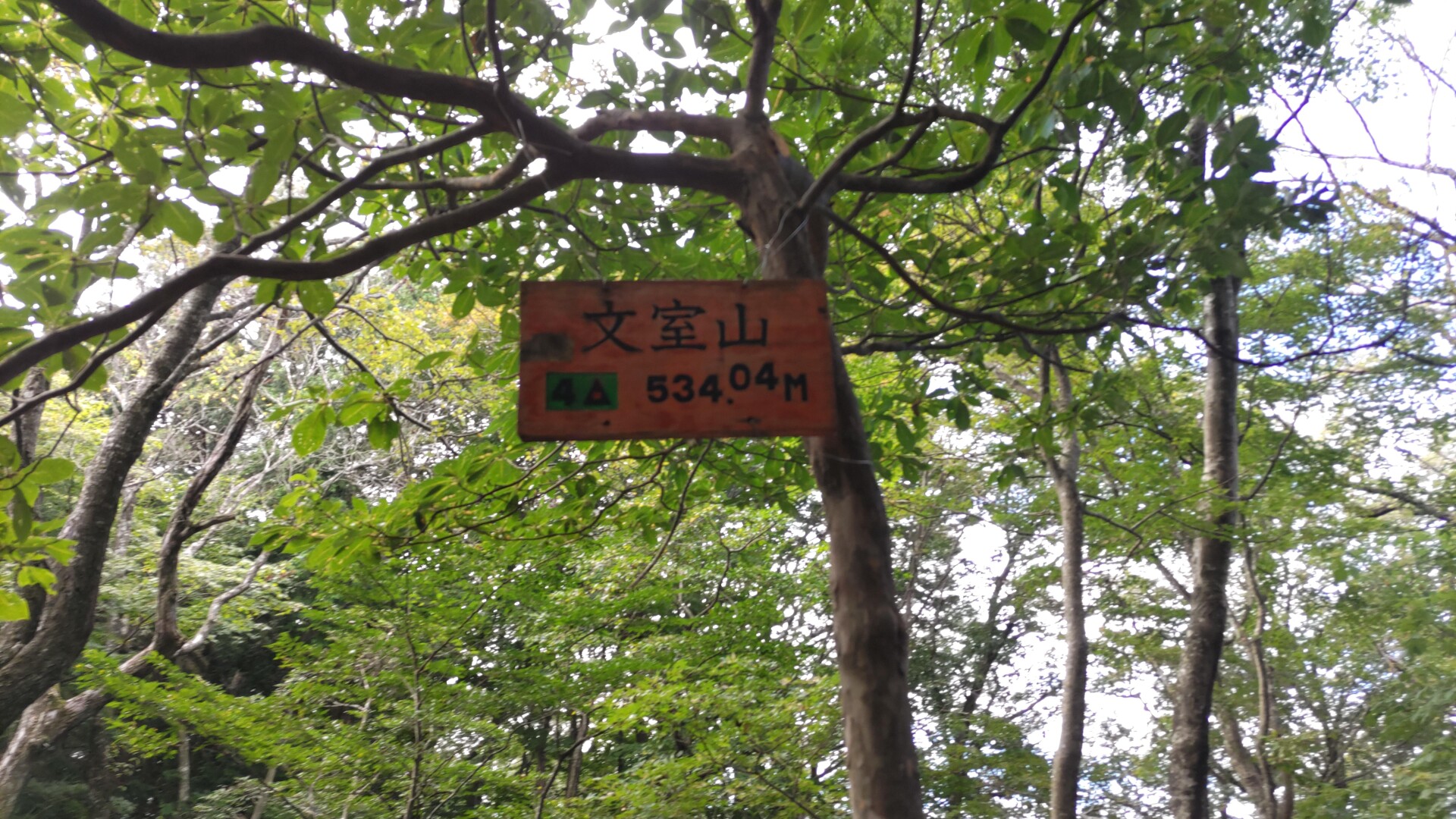 行市山-文室山 / ss43mさんの行市山・柳ヶ瀬山・三方ヶ岳の活動データ | YAMAP / ヤマップ