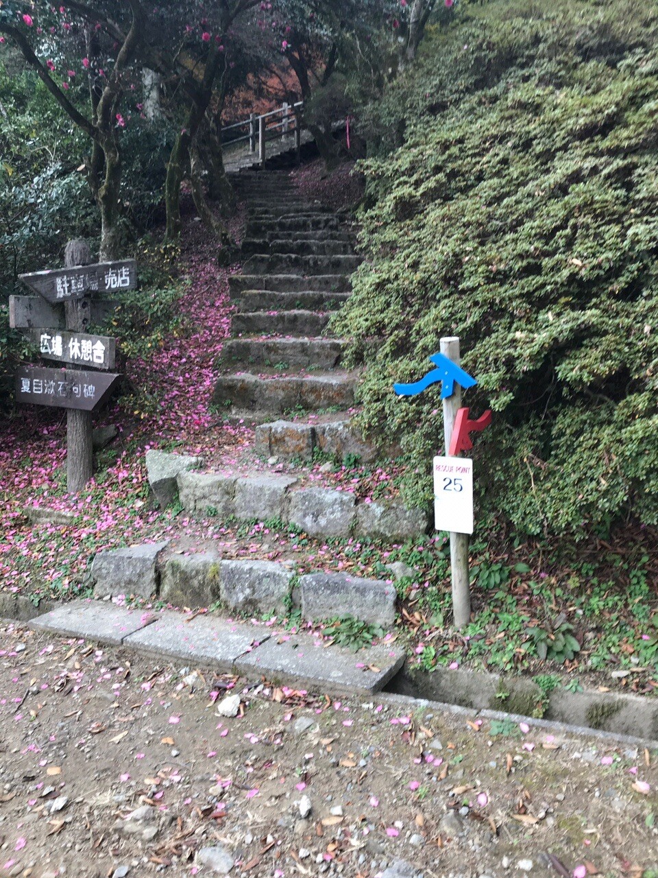 みーちんさんの投稿したフィールドメモ | YAMAP / ヤマップ