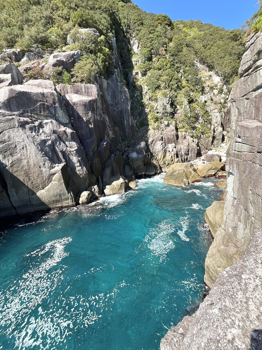 オハイブルー🌴 / OLD HOUSEさんの八鬼山・頂山・オハイの活動データ | YAMAP / ヤマップ