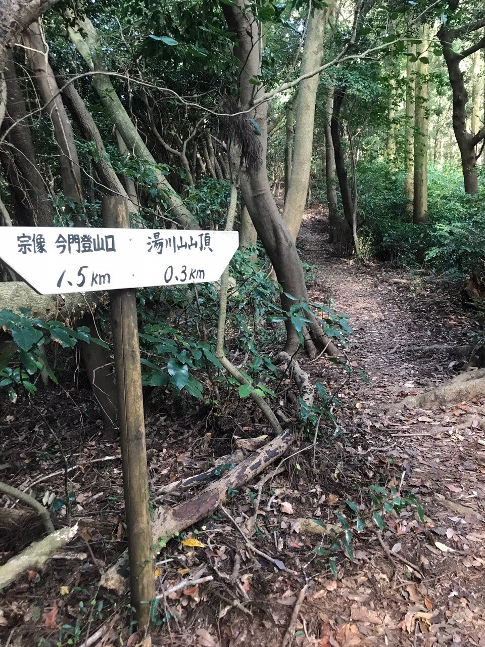 Meeyaさんの投稿したフィールドメモ | YAMAP / ヤマップ