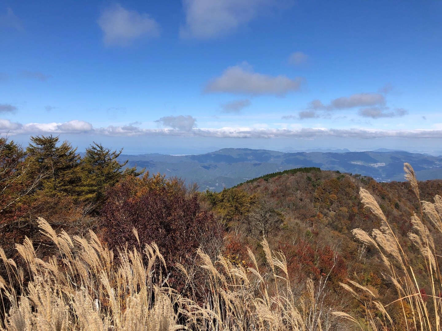 国見山 / mt. sugさんの国見山の活動データ | YAMAP / ヤマップ